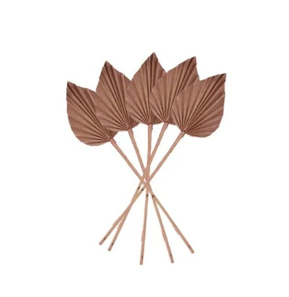 Dried Palm Leaf - Set of 5