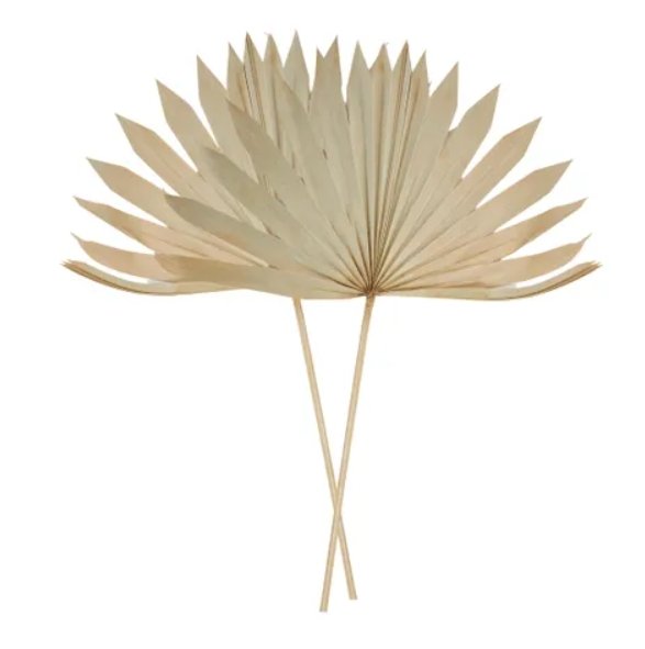Dried Palm Leaf - Set of 4